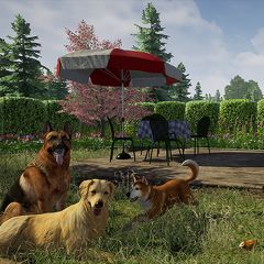 My Life: Pet Vet Trophy Guide (PS5) - MetaGame.guide