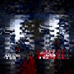 Adam Wolfe Trophy Guide (PS5) - MetaGame.guide