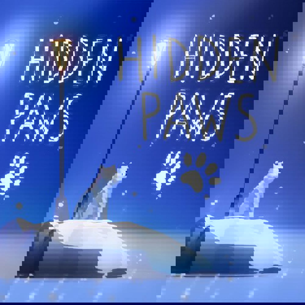 Hidden Paws Trophy Guide (PS5) - MetaGame.guide