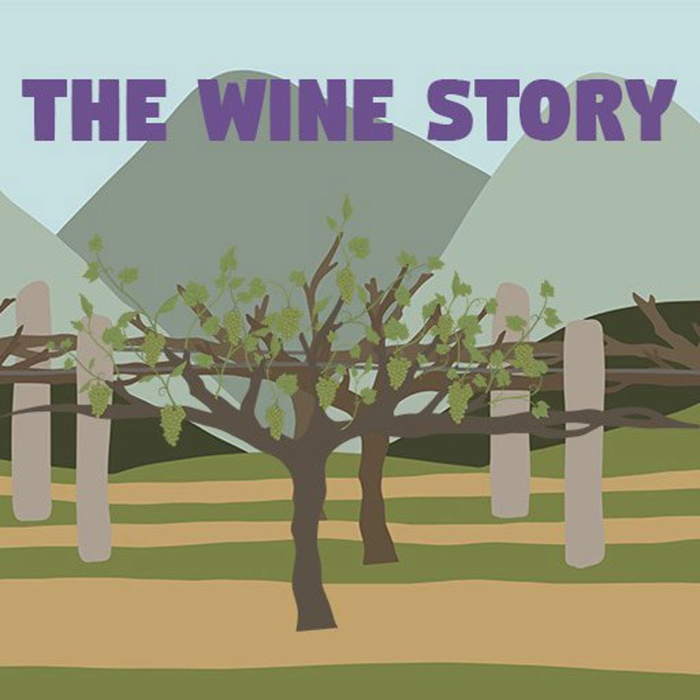 The Wine Story Review (PS5) - MetaGame.guide