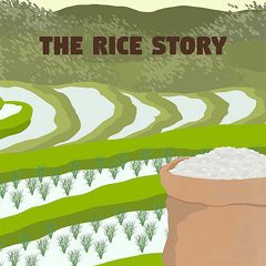 The Rice Story Trophy Guide (PS5) - MetaGame.guide