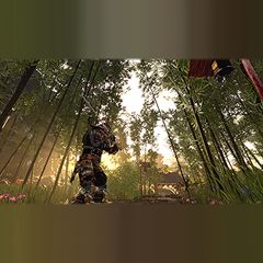 Shadow the Ronin Trophy Guide (PS4) - MetaGame.guide